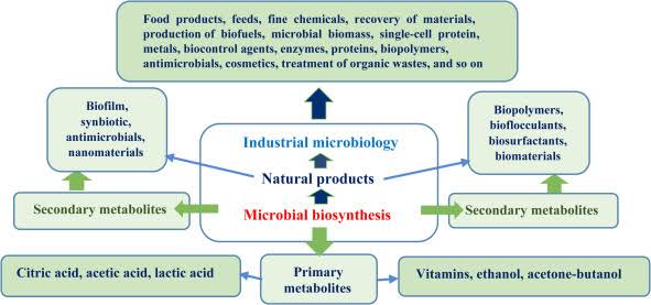 Fakir Mohan University : Institutional Learning Management System(iLMS)